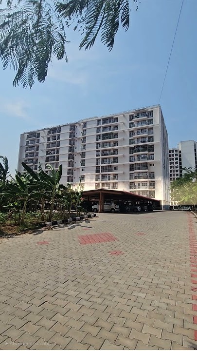 Building Grow Effect Made in After Effects. - YouTube