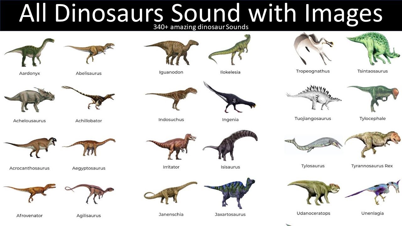 All Dinosaurs Sound with Images | 340+ Amazing Dinosaur Sounds ...