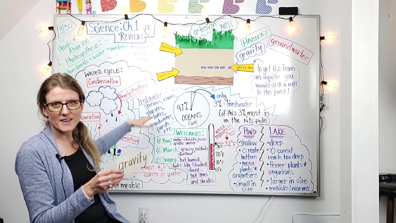 Mrs. B.'s Science ep3 - YouTube