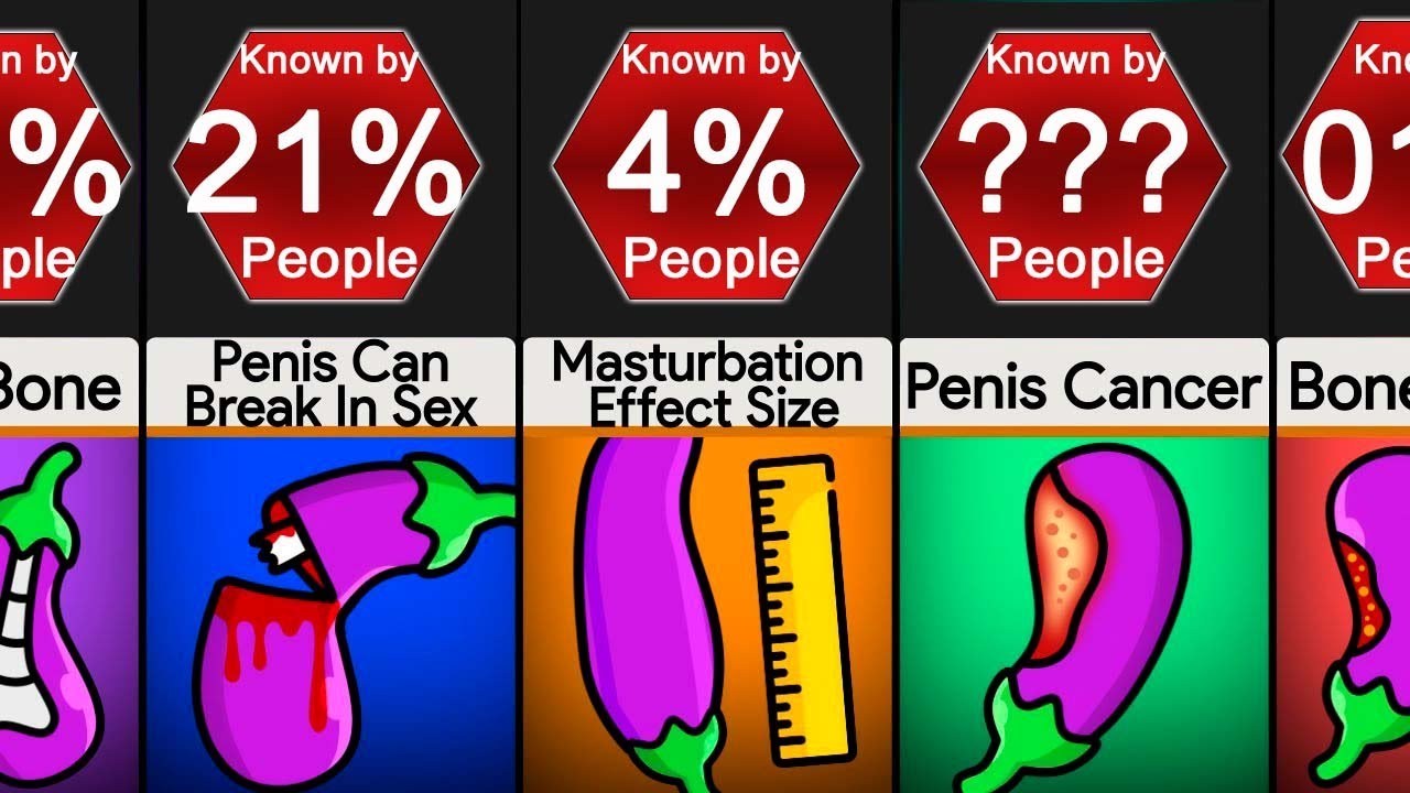 Comparison - Crazy Facts About Your P3n!s - YouTube