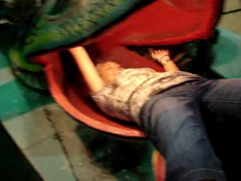 Courtney Gets Eaten By A Snake - YouTube