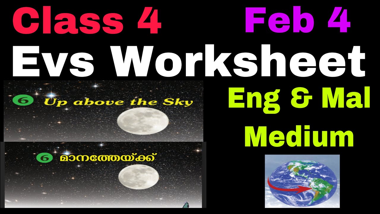 Class 4 EVS worksheet Feb 4/ class 4 evs worksheet 4/2/21 /std 4 evs ...