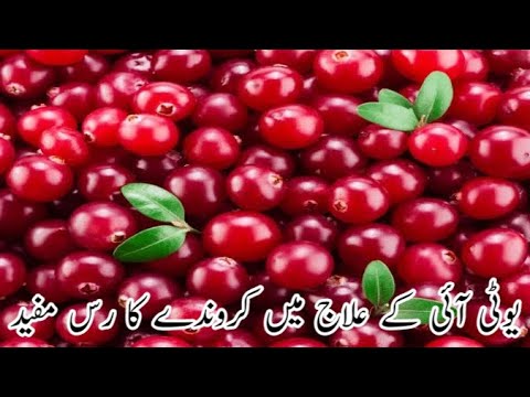 Cranberry k fayday | Karonda cranberries health benefit | cranberry ...
