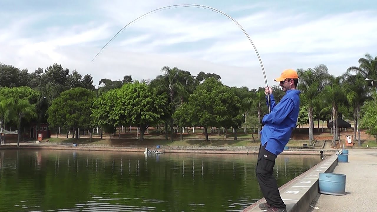 Olha só quem apareceu na pescaria de tilápias na vara de mão no MAEDA ...