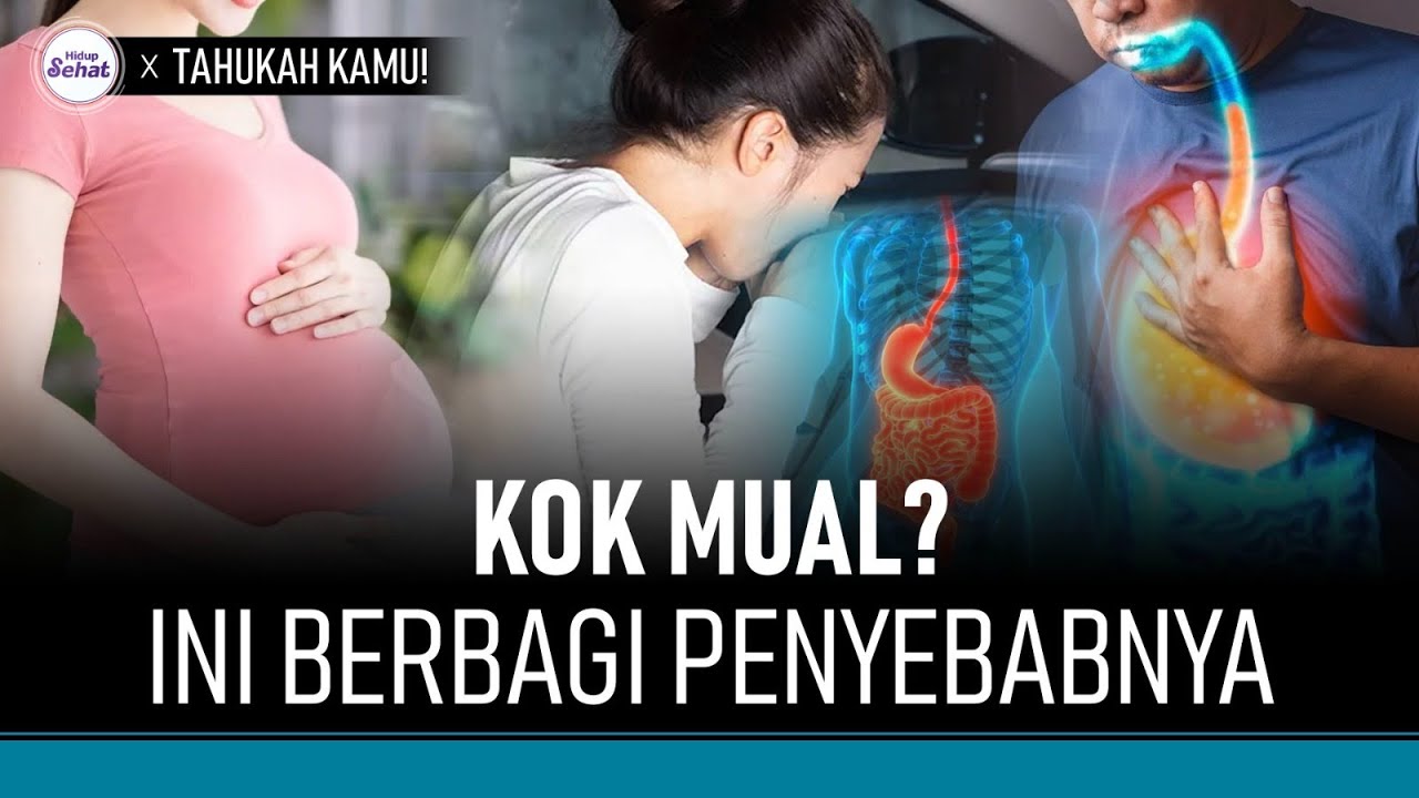 4 Penyebab Mual yang Paling Sering Terjadi | Hidup Sehat tvOne - YouTube