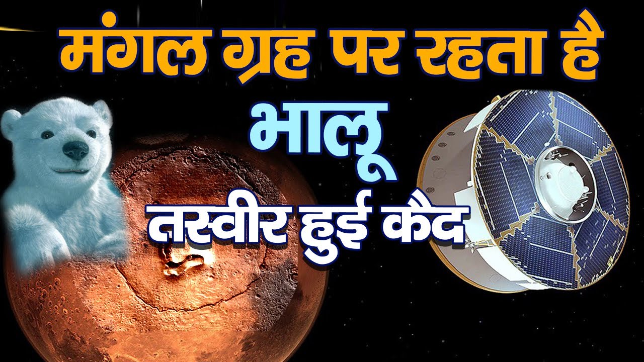 मंगल ग्रह पर रहता है भालू...तस्वीर हुई कैद | Bear lives on Mars ...