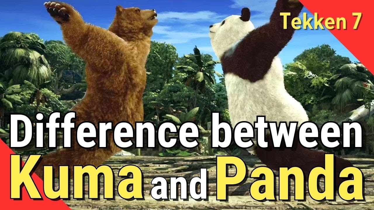 Difference between Kuma and Panda | Tekken Tips - YouTube