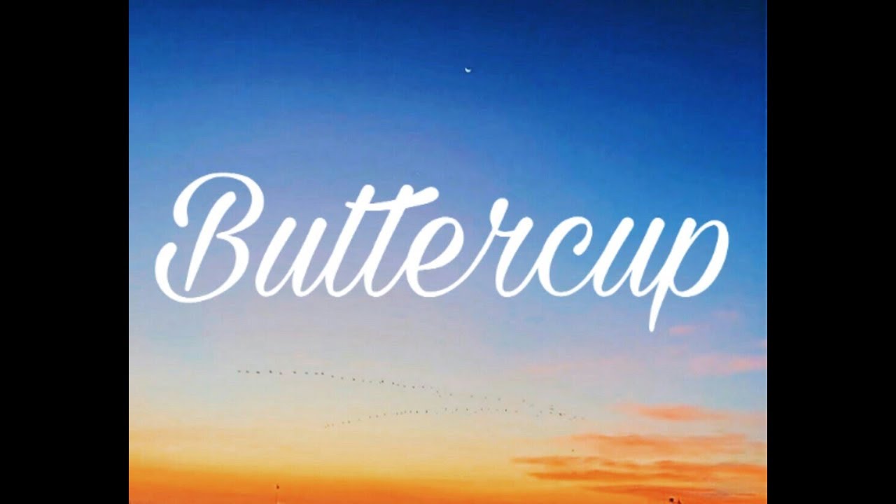 Buttercup - Jack Stauber (Lyrics) 🎵 - YouTube
