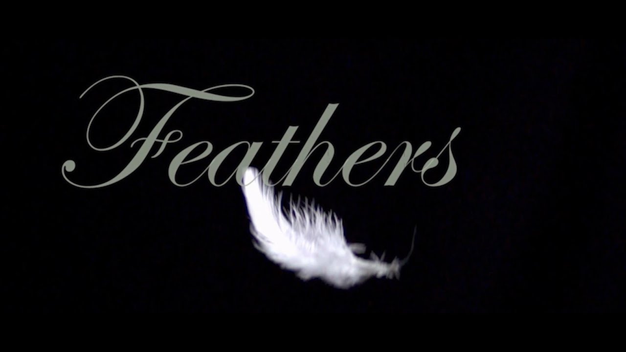 Feathers Trailer First Look - YouTube