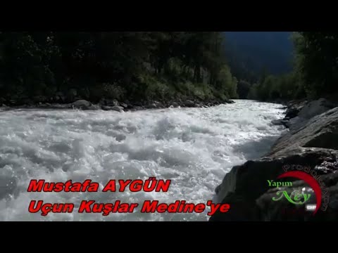 Mustafa Aygün - Uçun Kuşlar Medine'ye