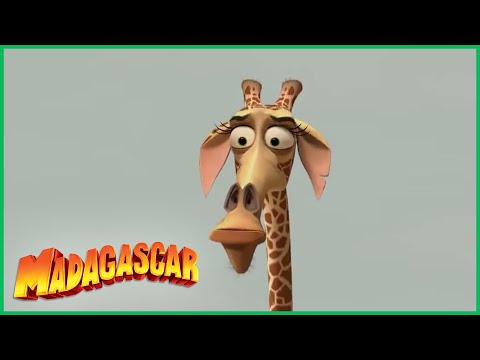 DreamWorks Madagascar | Receba a Água de Volta | Madagascar: Escape 2 Africa Filme