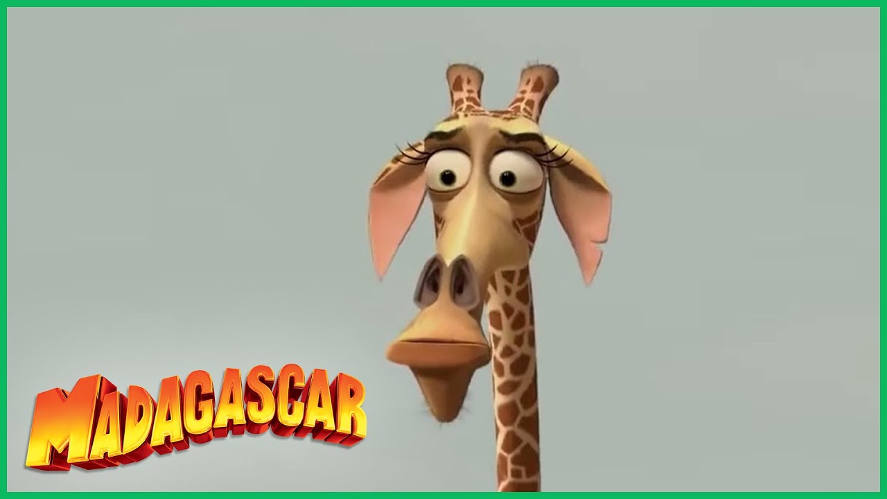 DreamWorks Madagascar | Receba a Água de Volta | Madagascar: Escape 2 Africa Filme - YouTube
