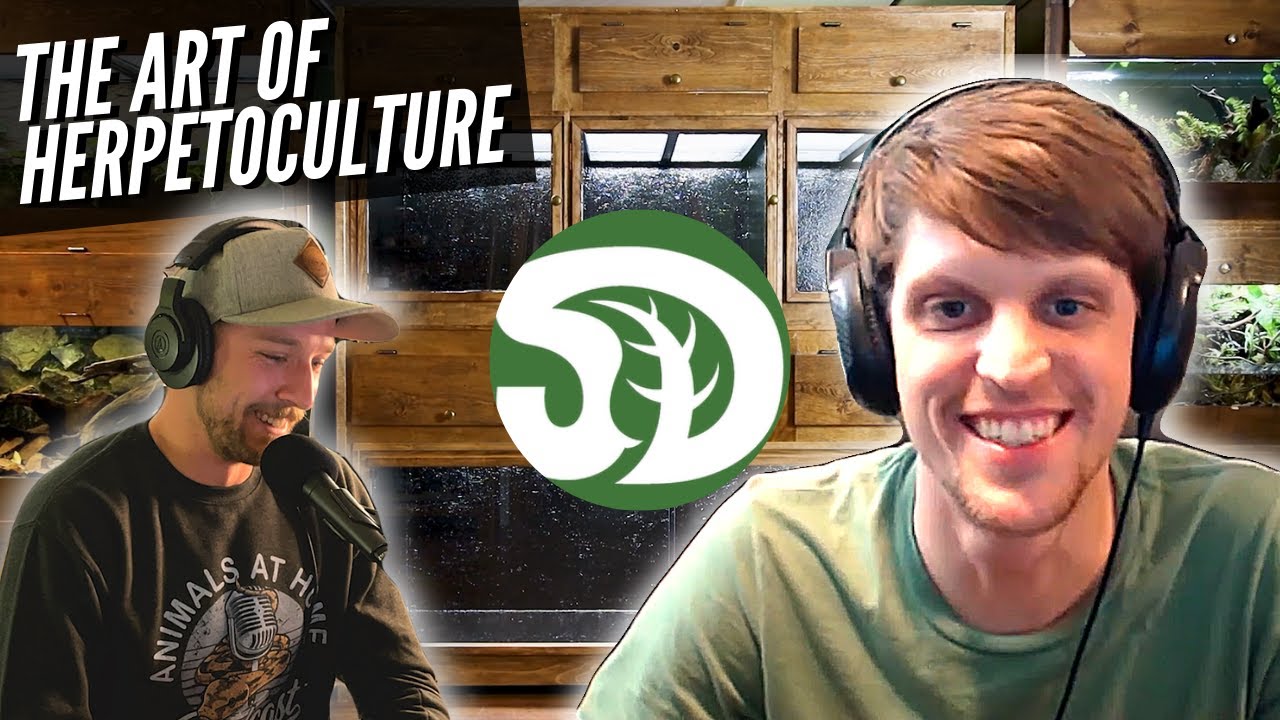 The Art of Herpetoculture with SerpaDesign | Tanner Serpa - YouTube