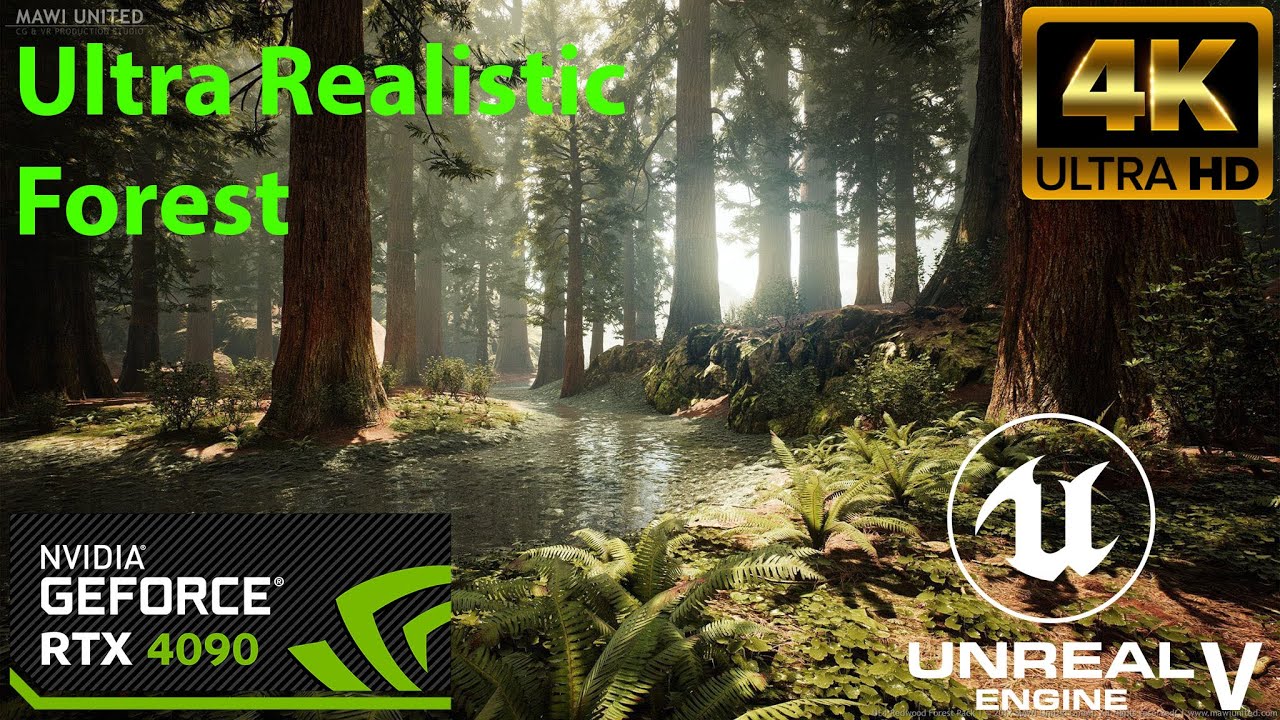 #4k | Ultra Realistic Forest #unrealengine5 | RTX 4090 | MAWI Broadleaf ...