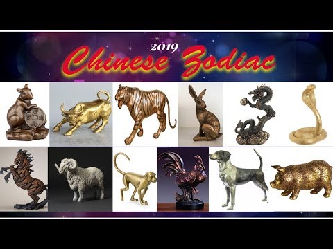 V12| Chinese Zodiac 2019