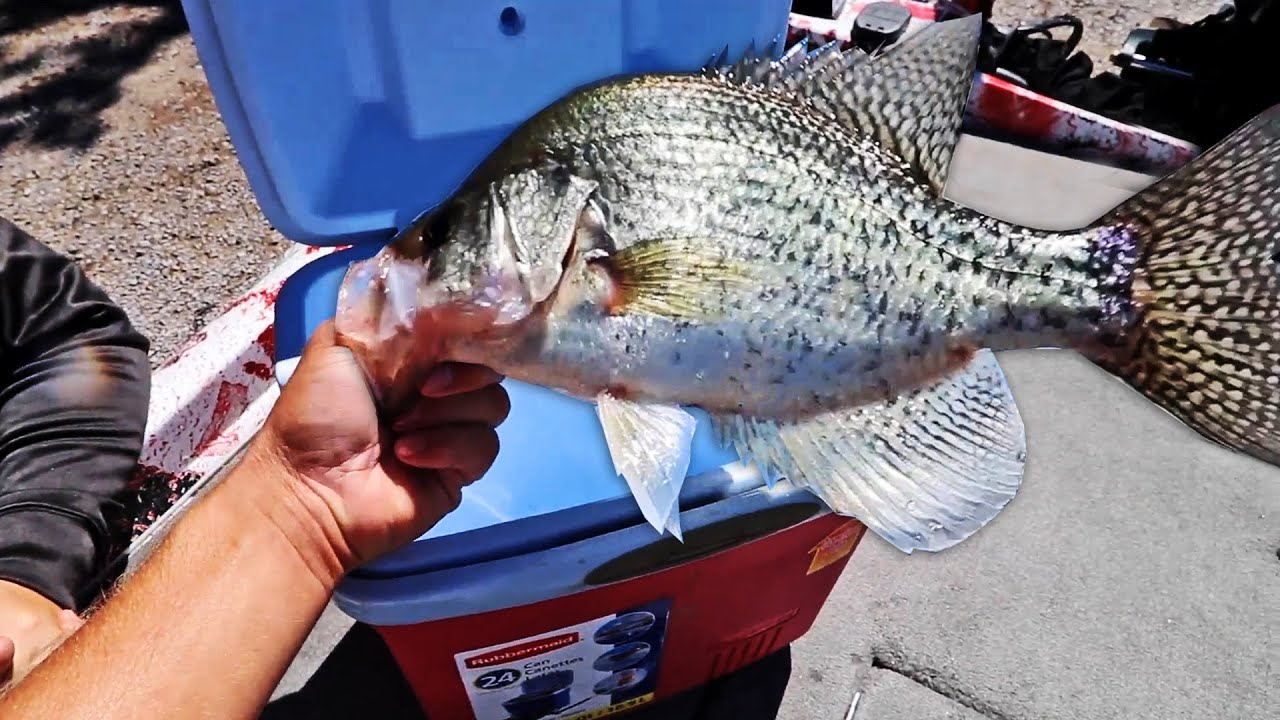 Catching BIG SLABS On Lake Guntersville! (Fishing With JIGS) - YouTube
