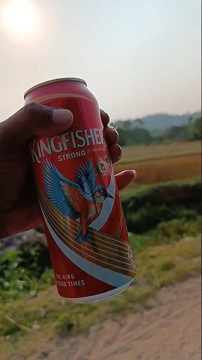 kingfisher is life #23shorts - YouTube