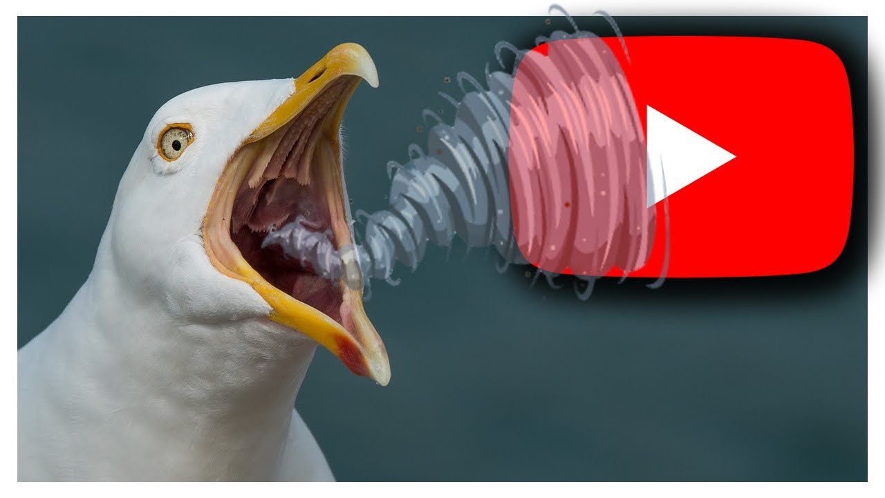 Why Are YouTubers So Loud - YouTube