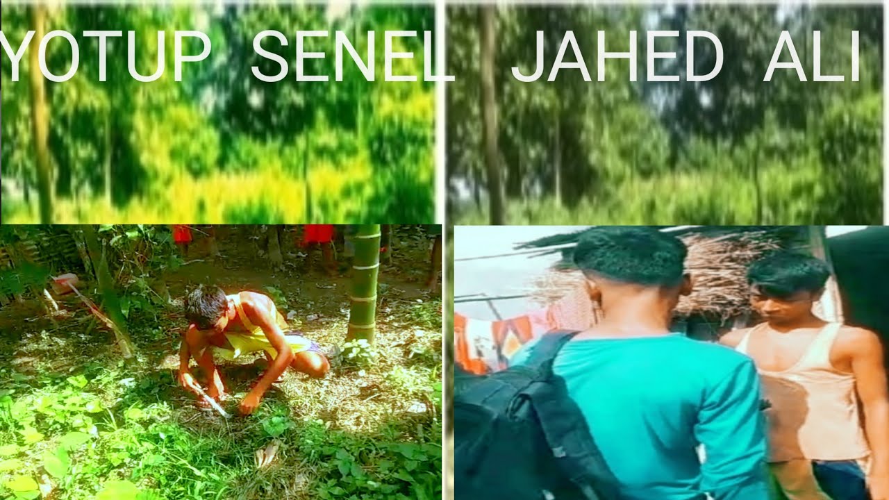 jahed ali ekul jao kalas 9 nunnobor 20 yotup senel manseri funny vidio ...