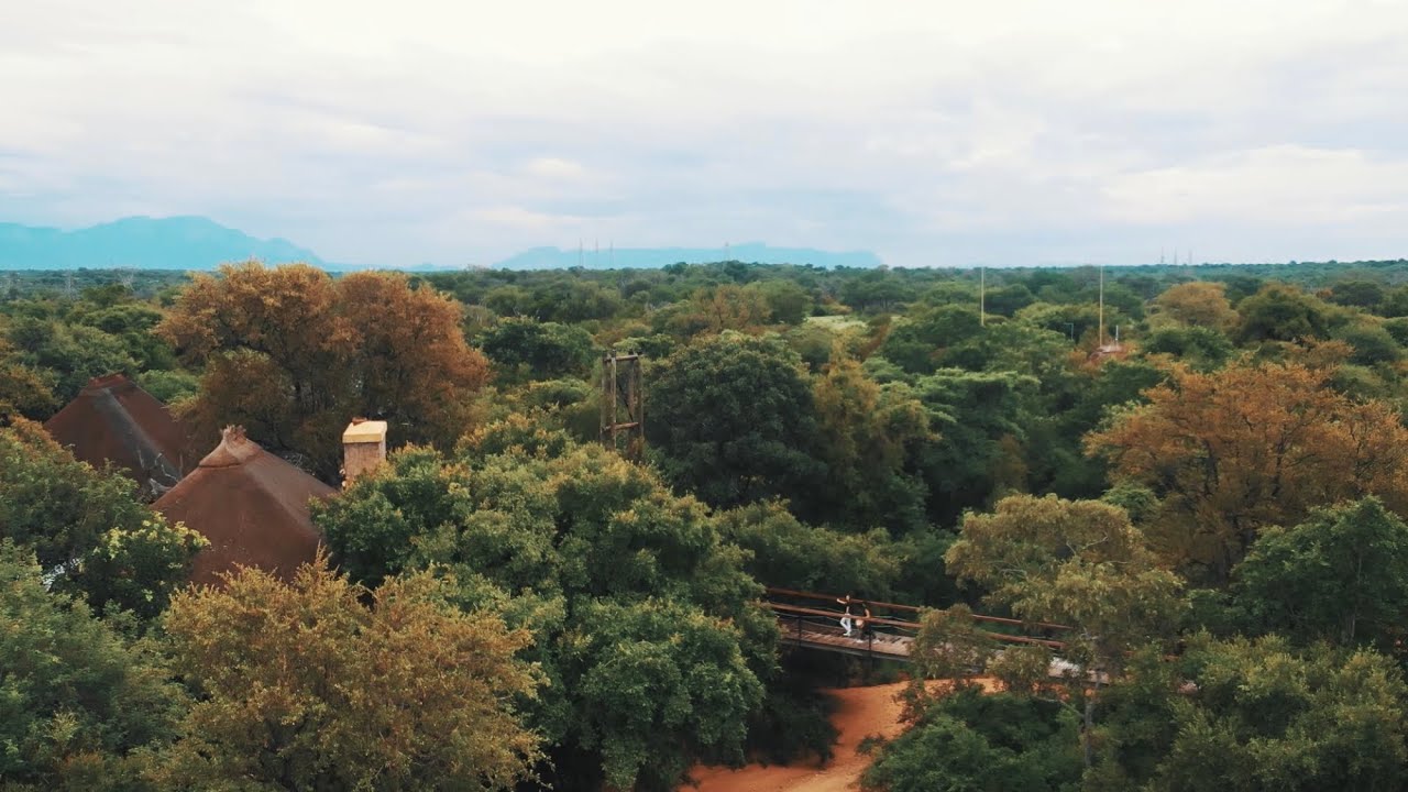 Step Inside Your Suite at Jabulani on a Soulful Safari - YouTube