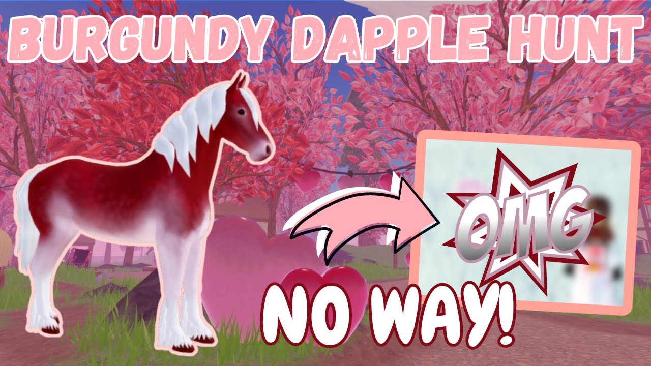 HUNTING FOR BURGUNDY DAPPLE HORSES BUT FOUND THIS!!!!!! | Wild Horse ...