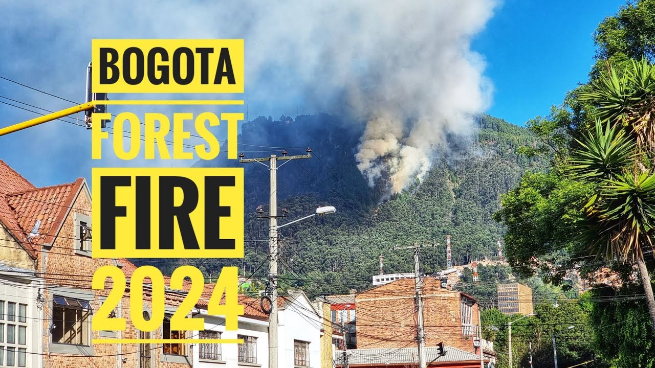 Bogota Forest fire 2024 - YouTube