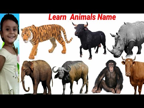 Animal video For kids Cow, Dog, Cat, Horse, Deer, Zebra || Learn Animals Name in English || #Cow ||