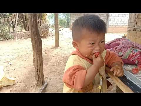 hnub no nyob xwb mus de txiv nqos mis nyuj los noj - YouTube