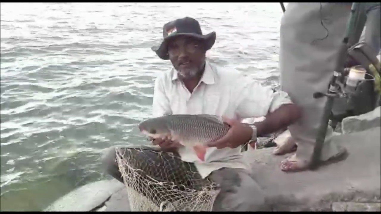 FISH HUNTING || FISHING RAHU || BIG FISH || SINGH KA SHIKAR ...