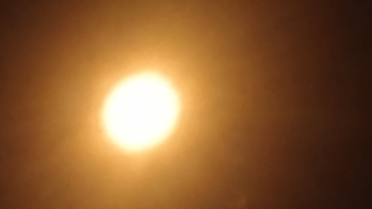 Birds, Partial Eclipse (Low Quality Phone Cam Footage) - YouTube