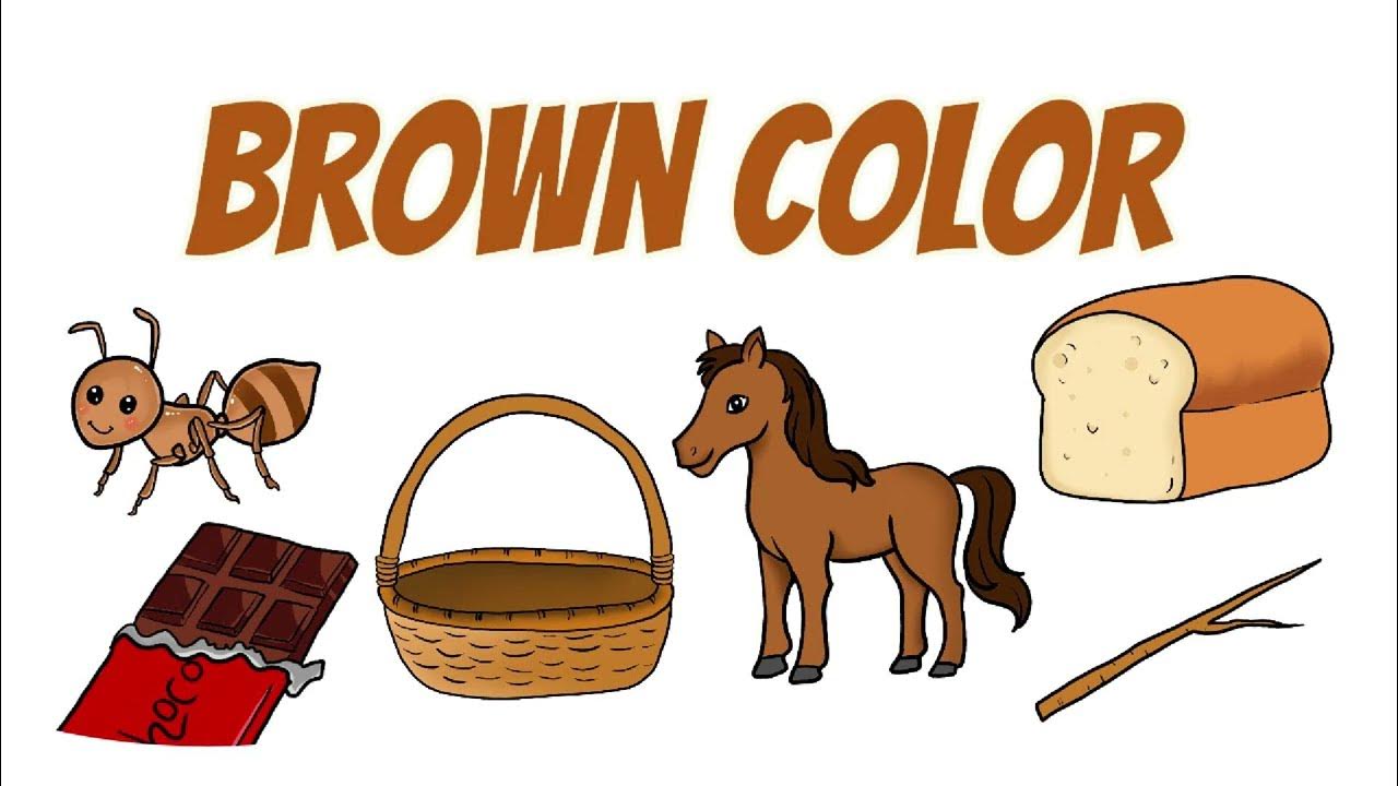 Learn Brown color things | Things that are Brown | Color vocabulary And ...