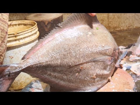 Amazing P3 Big Black Pomfret Fish Cutting Skills Live In Fish Market ...