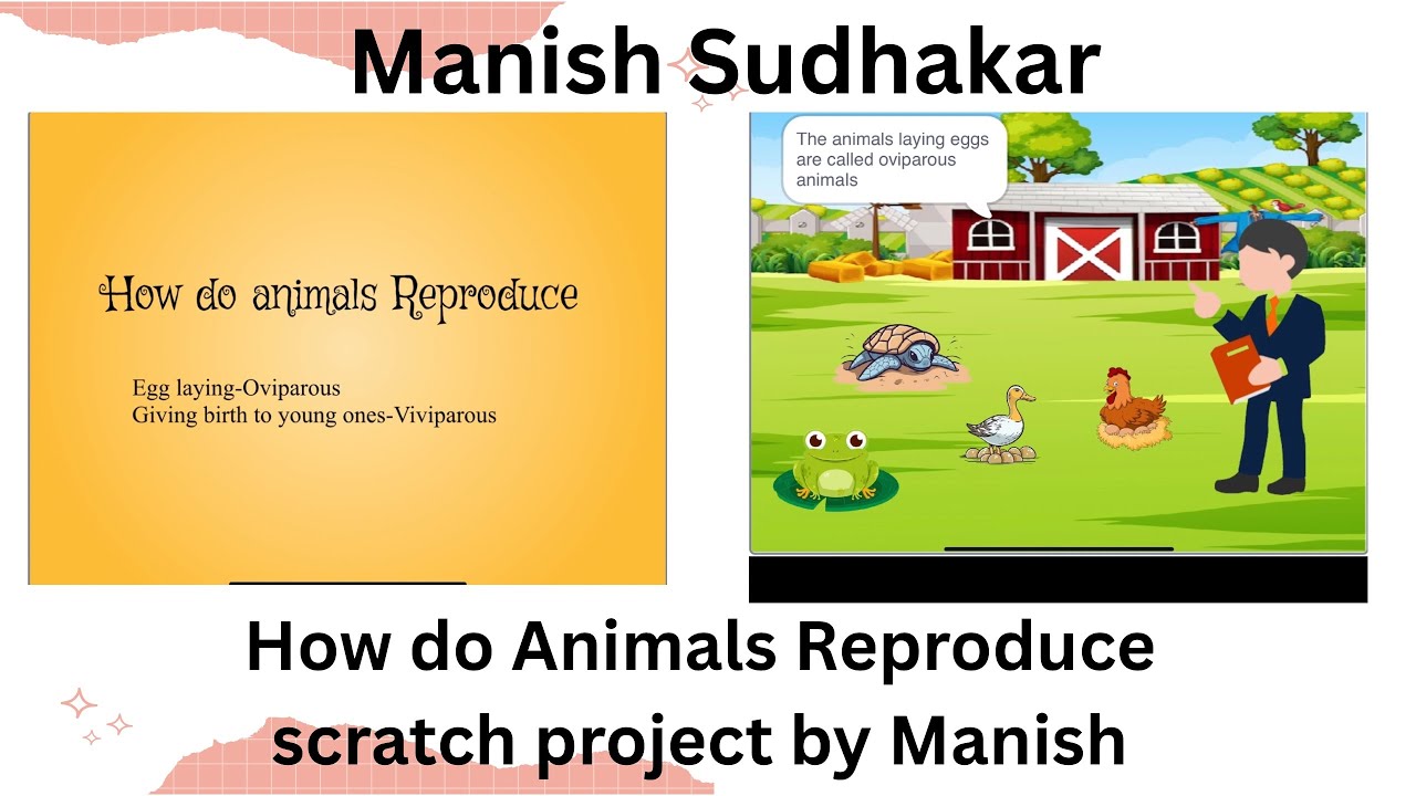 How do animals Reproduce scratch project #manishsudhakar #egglaying # ...