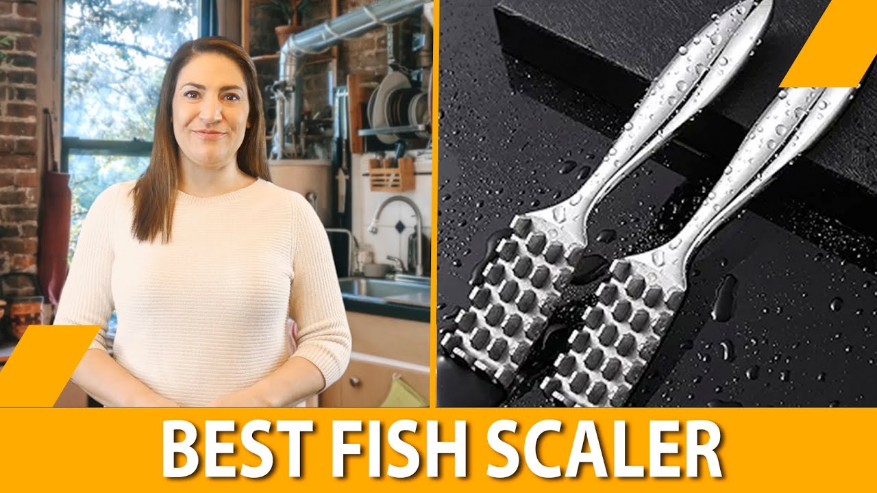Best Fish Scaler - Researched by Expert! - YouTube