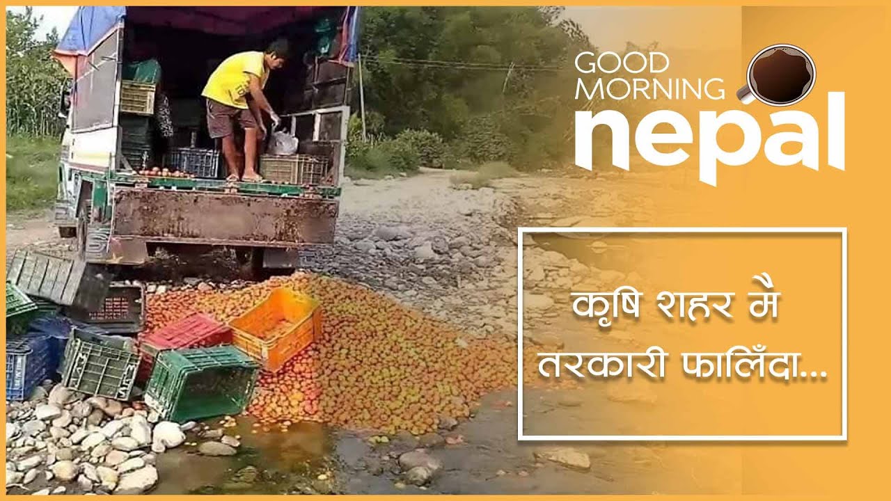 कृषि शहर मै तरकारी फालिँदा... | Good Morning Nepal Clip - YouTube