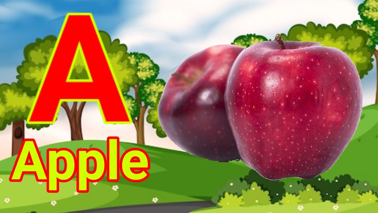 "Alphabet Playtime: ABCD Fun with Friends!""ABC Zone: The Ultimate ...