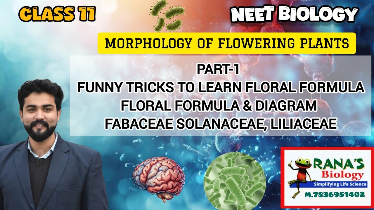 PART-1 FUNNY TRICKS TO LEARN FLORAL FORMULA|FLORAL FORMULA & DIAGRAM ...