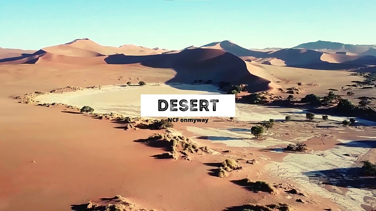 Desert Free Stock Footage - No Copyright Desert Video (Royalty-Free ...