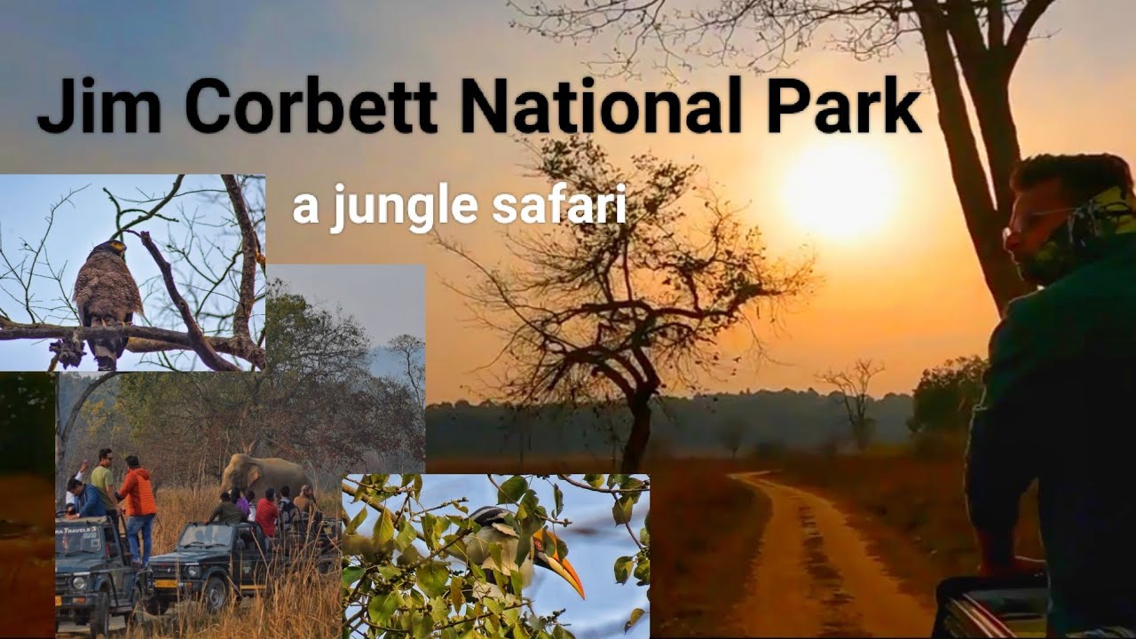 Jim Corbett National Park | Garjiya Devi | Wildlife Safari | Tiger ...
