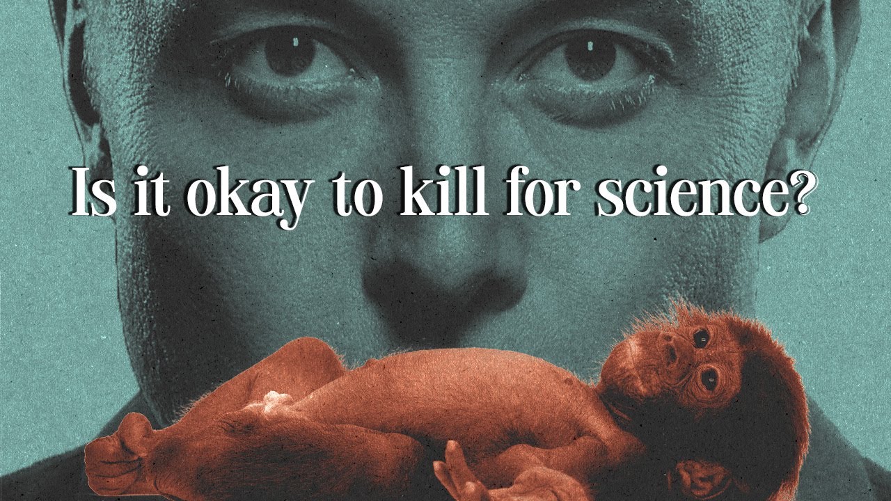 Elon Musk's Neuralink Animal Testing Controversy - AI Gone Too Far ...