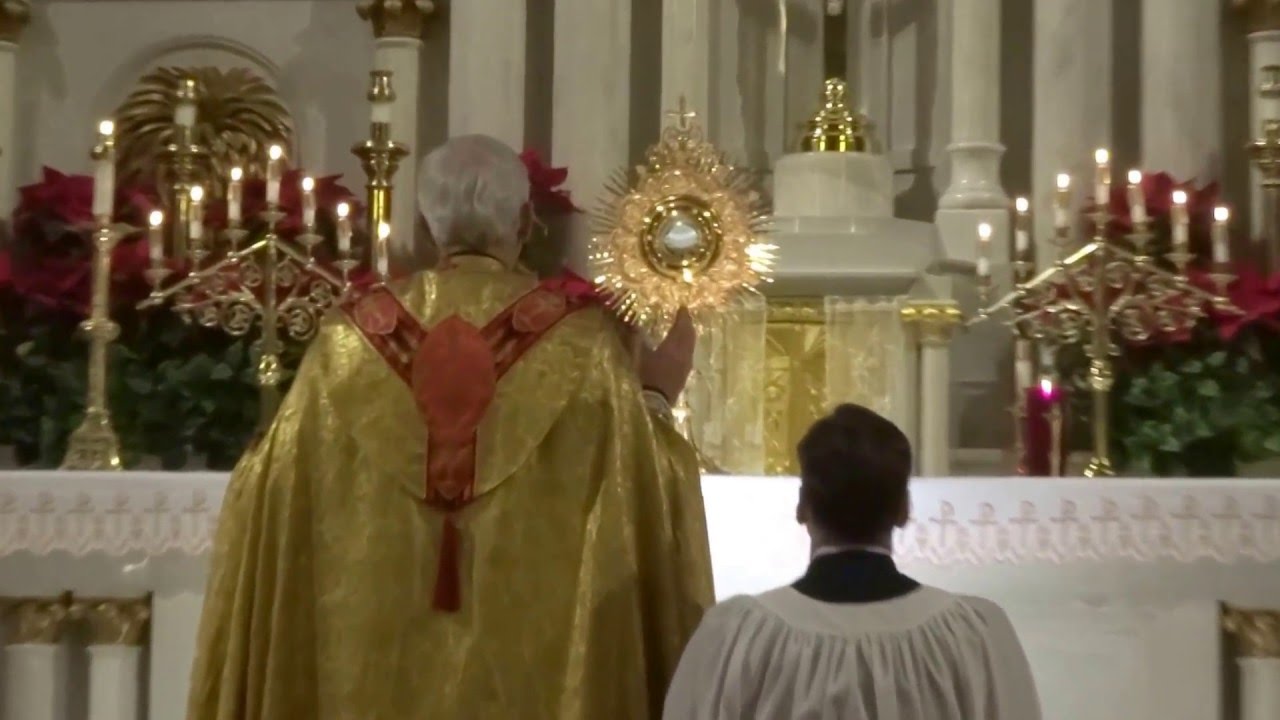 Father Joseph Illo Star of the Sea Church SF January 20, 2016 3 - YouTube