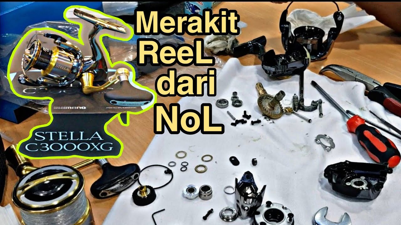 MANCING MANIA-MERAKIT REEL SHIMANO STELLA C3000xg DARI NOL - YouTube