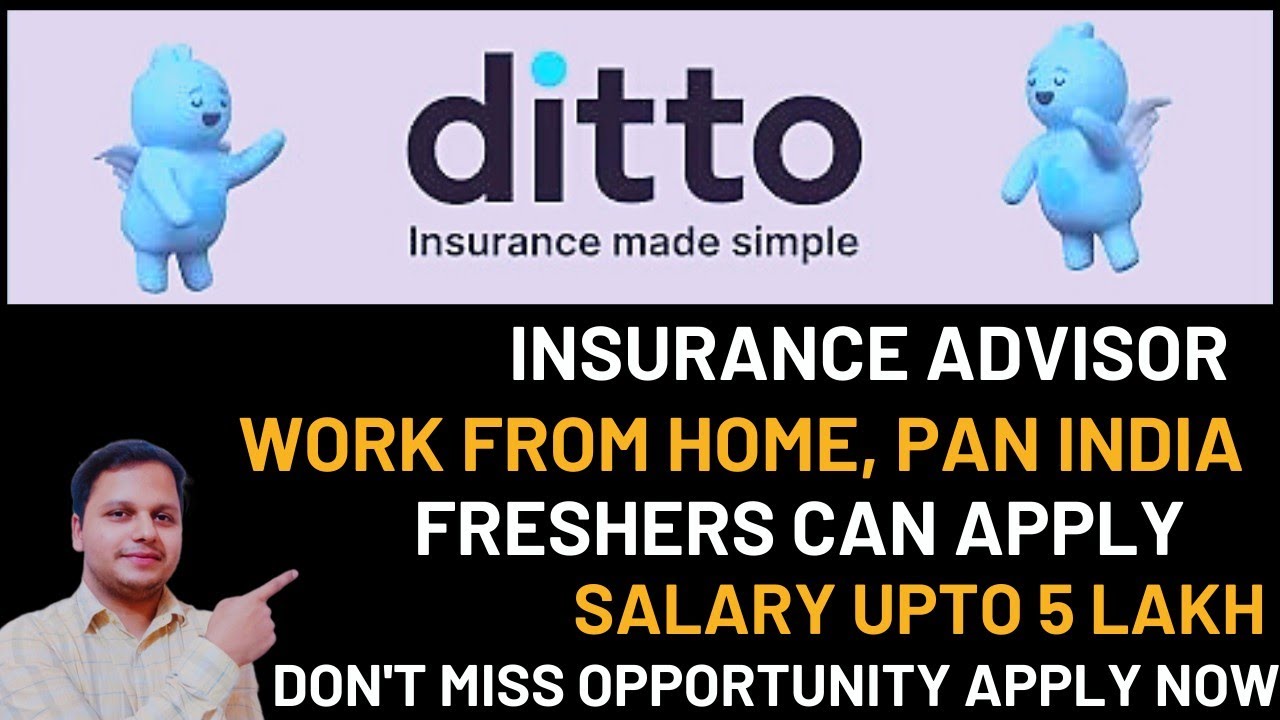 Ditto work from home jobs😍|Ditto latest jobs|Ditto hiring for freshers ...
