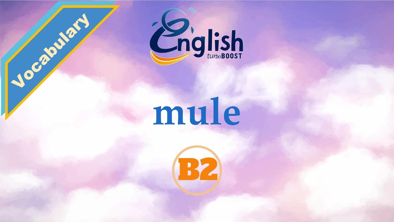 Mule - Meaning, Pronunciation, & Examples | B2 | Learn English ...