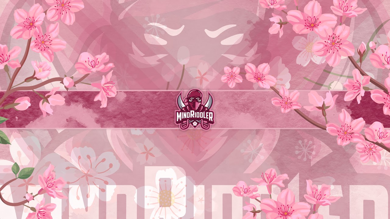 MindRiddler Live Stream - YouTube