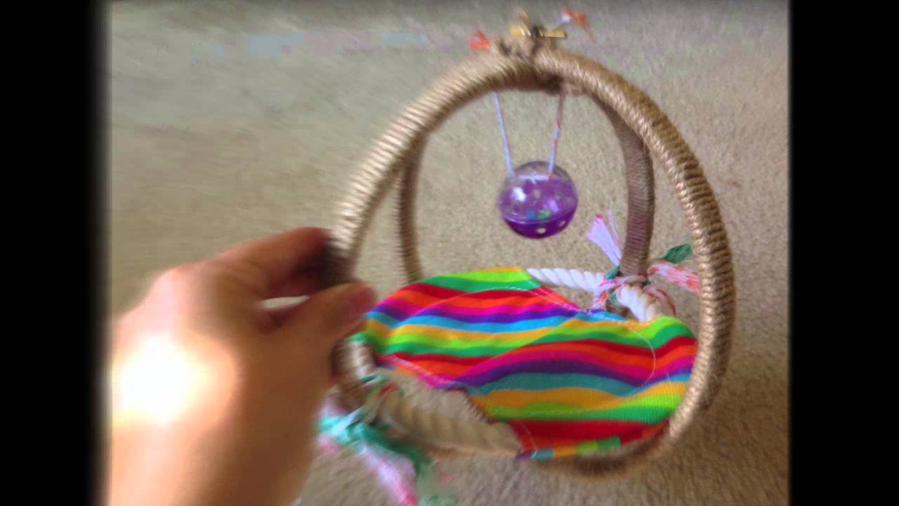 DIY Small Bird Orbital - YouTube