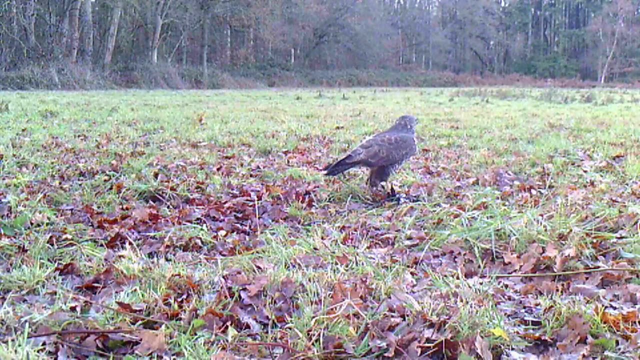 LA BUSE VARIABLE PIEGE PHOTO Marcko 60490 hainvillers - YouTube