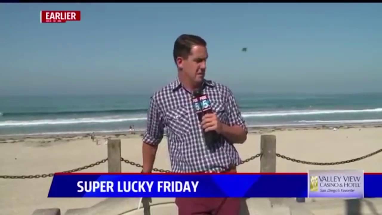 Bug Scares News Reporter - YouTube