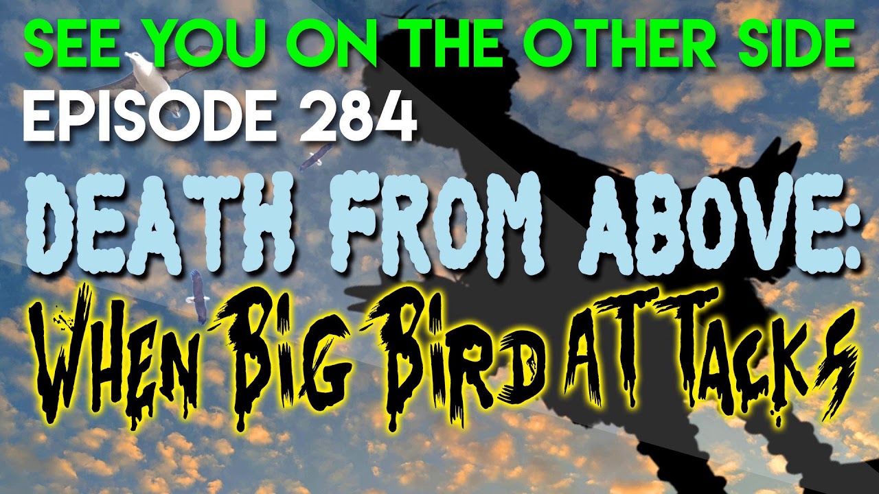 Episode 284 – Death From Above: When Big Bird Attacks - YouTube