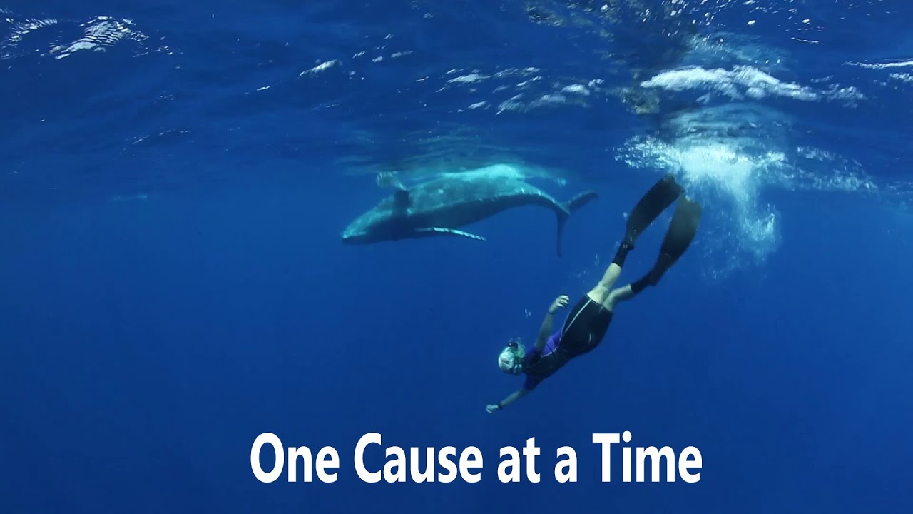 Saving the Planet. One Cause at a Time. Alice Forrest. A film by Scott ...